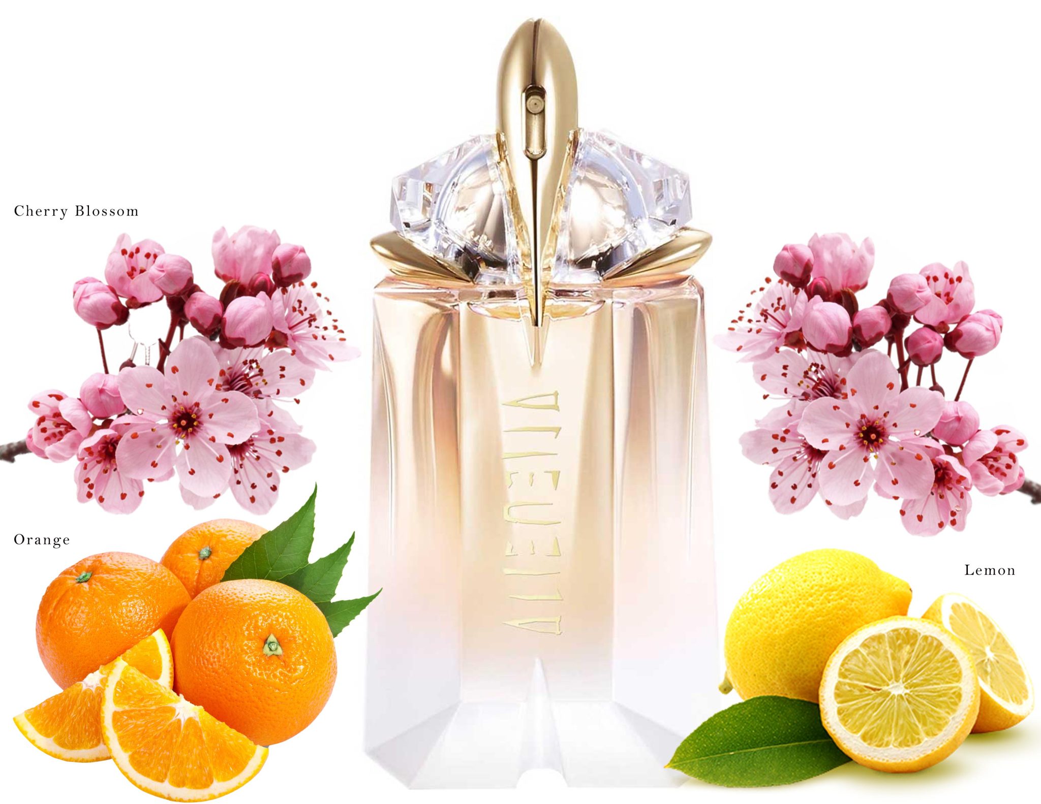 Fragrance Spotlight: Tuberose Angelica Cologne & Alien Eau Sublime ...