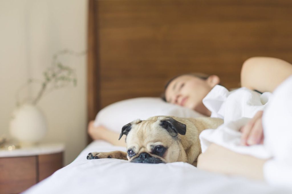 National Napping Day: 3 Tips For Taking The Perfect Nap | LATF USA NEWS