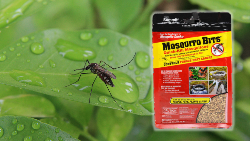 Fight Off Mosquitos With These Summit Products | LATF USA NEWS