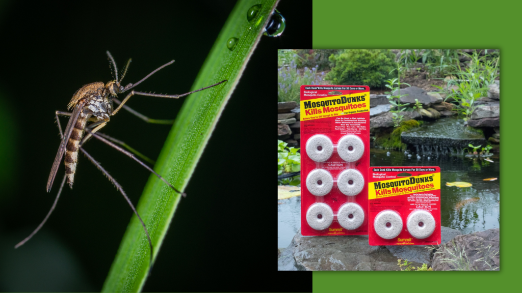 Fight Off Mosquitos With These Summit Products | LATF USA NEWS