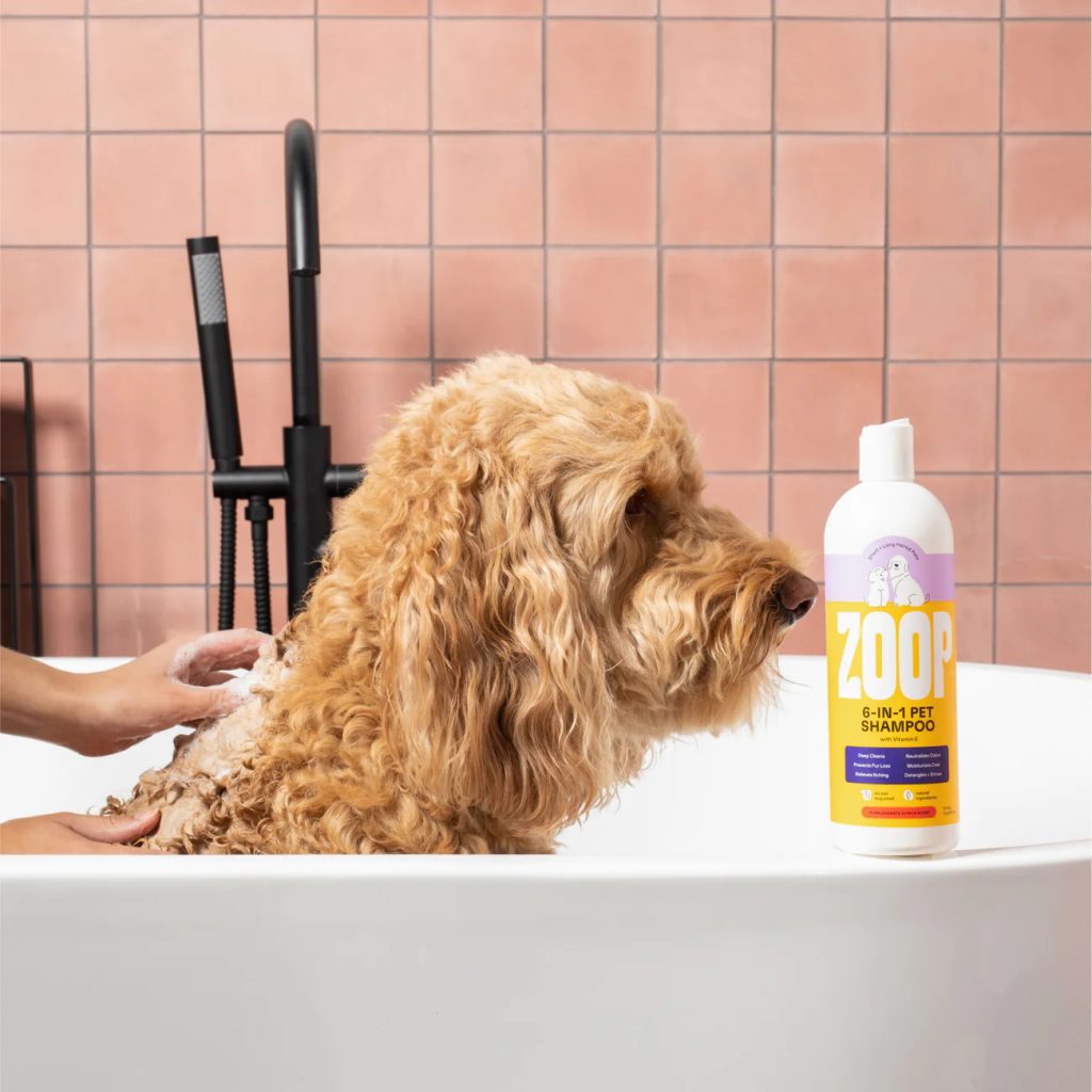 Zoop Is A Top Pet Shampoo | LATF USA NEWS