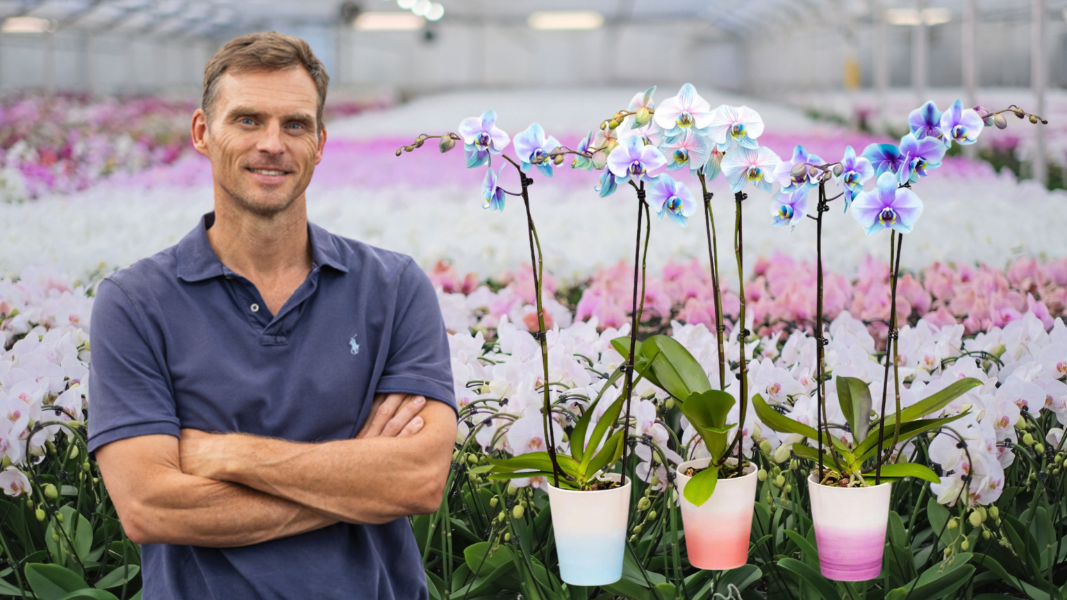 Westerlay Is The Kingdom of Orchids | LATF USA NEWS