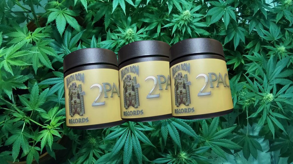 Snoop Dogg and Death Row Launch 2Pac Cannabis Collection | LATF USA NEWS