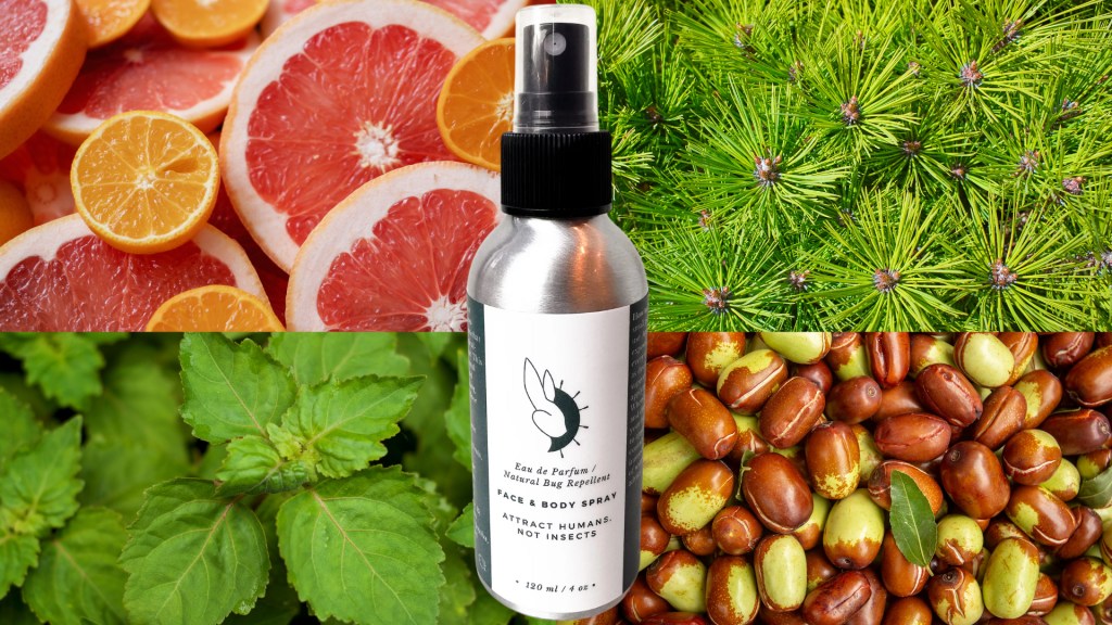 This Bug Spray Doubles As a Perfume | LATF USA NEWS