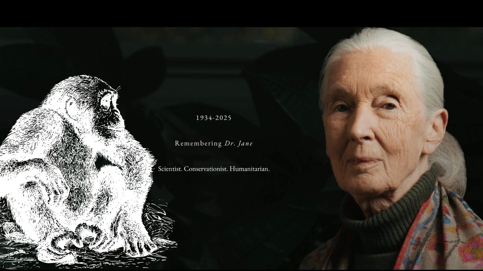 Chimpanzee Whisperer and Activist Jane Goodall Dies At Age 91 | LATF ...