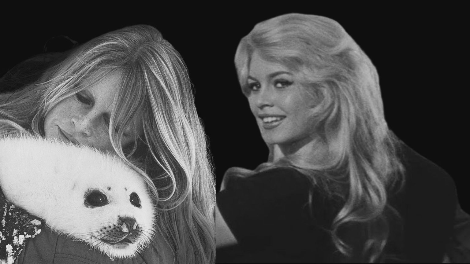 Brigitte Bardot, Icon of Cinema and Activism, Dies at 91 | LATF USA NEWS